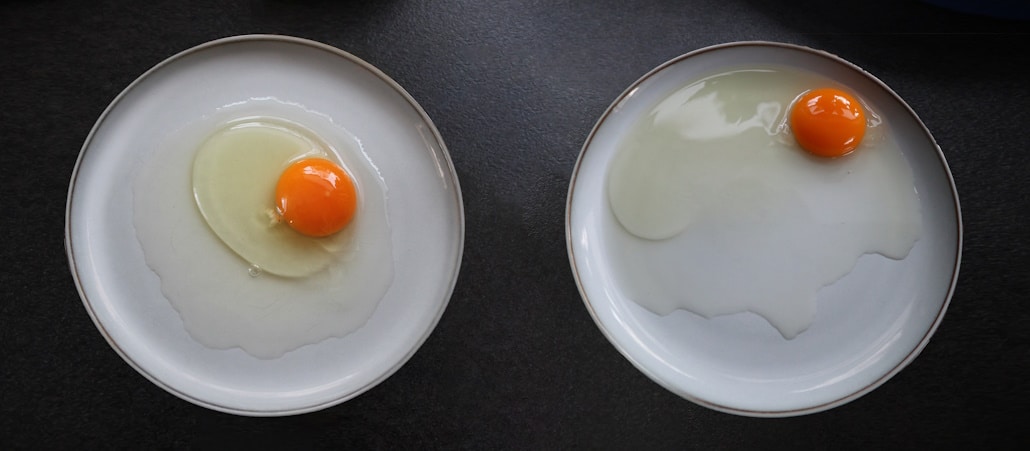 Wie alt ist mein Ei? Die besten Test!