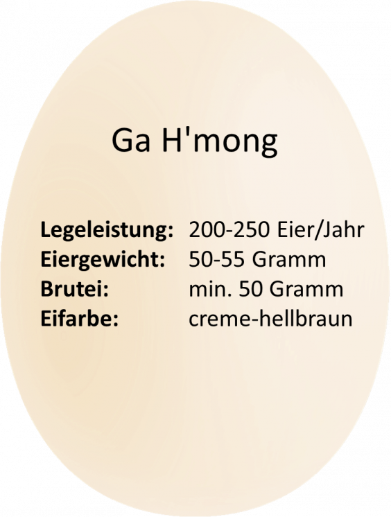 Ga H´mong, die Vietnamesische Hühnerrasse!