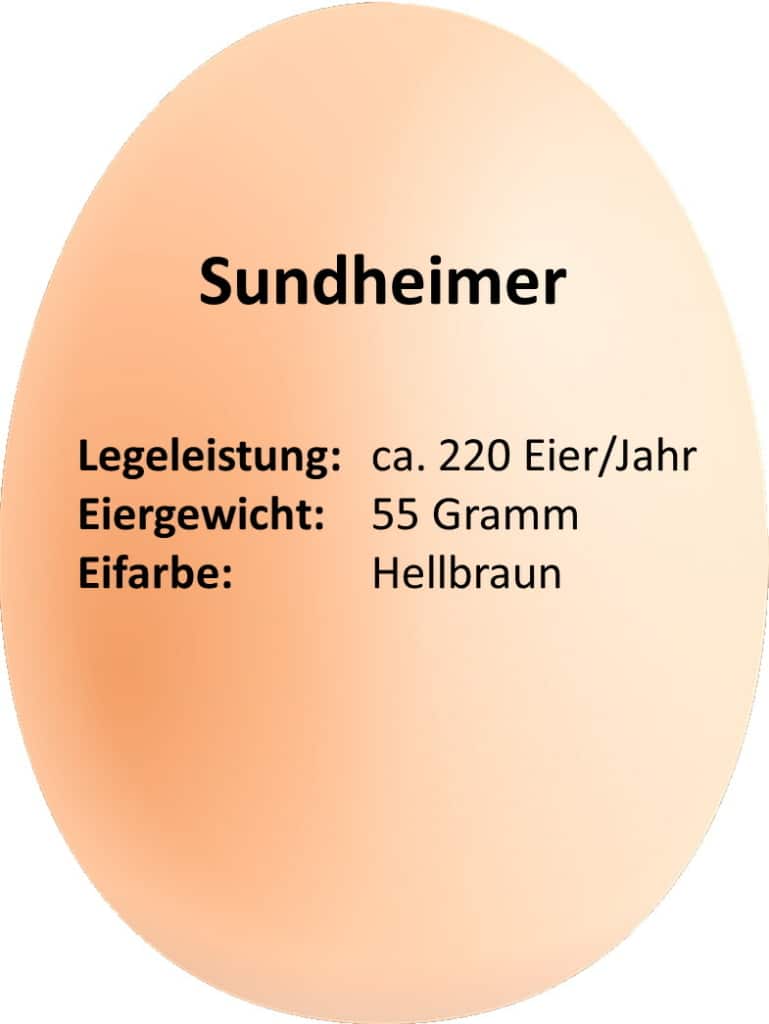 Das Sundheimer Huhn » Infos & Tipps zu den Sundheimerhühnern
