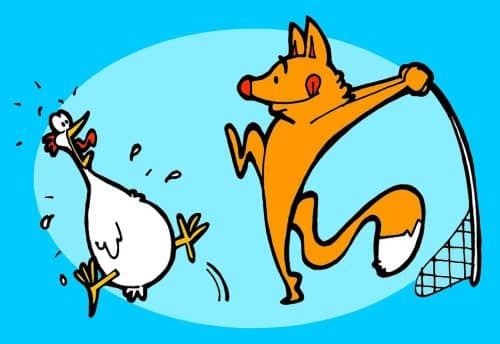 Hühnerfeinde: Der Fuchs » Hühnerhaltung und Ausstattung